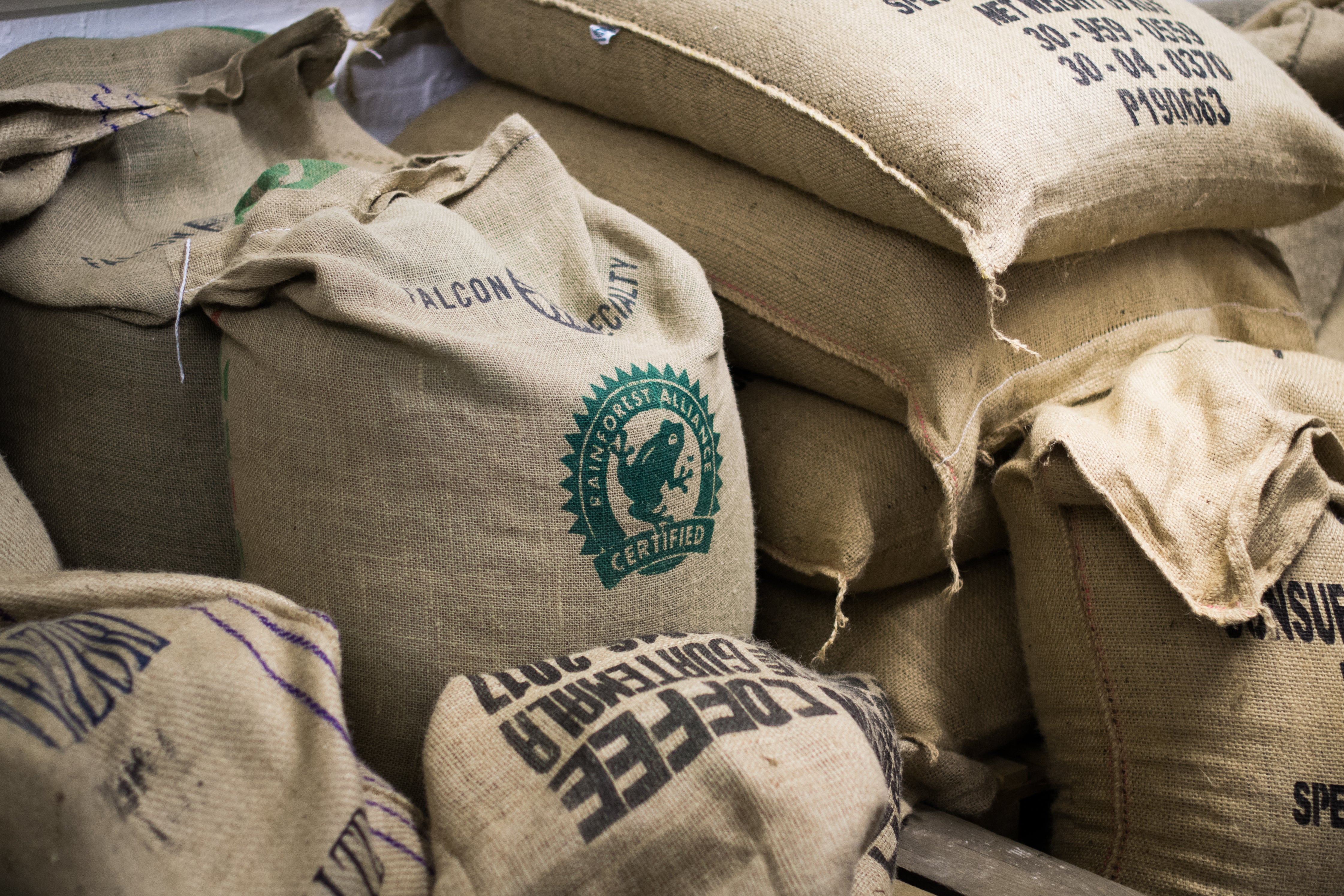 Chocolate and Coffee: Our Pairing Guide – COCO - The Art of Chocolate