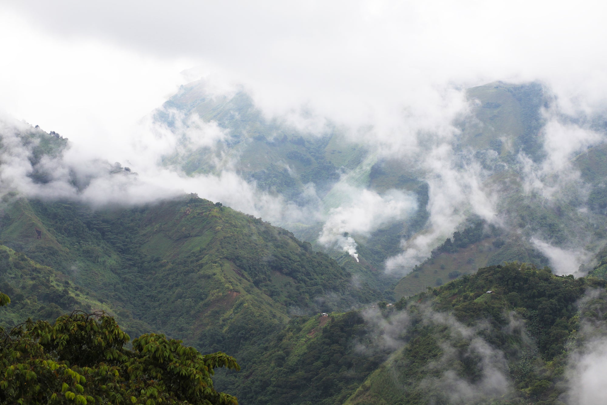 COCO Chocolatier's Journey Across Colombia | Introduction – COCO - The ...